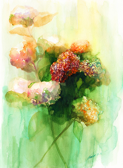 001_patience_of_love-5f7b7949 – Watercolor Art Southern Africa