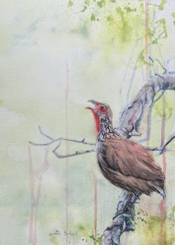 I Will Sing – Watercolor Art Southern Africa