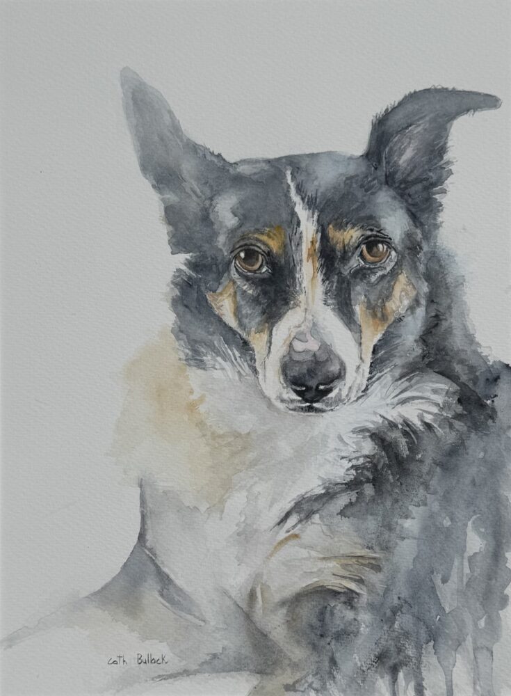 Juno – Watercolor Art Southern Africa