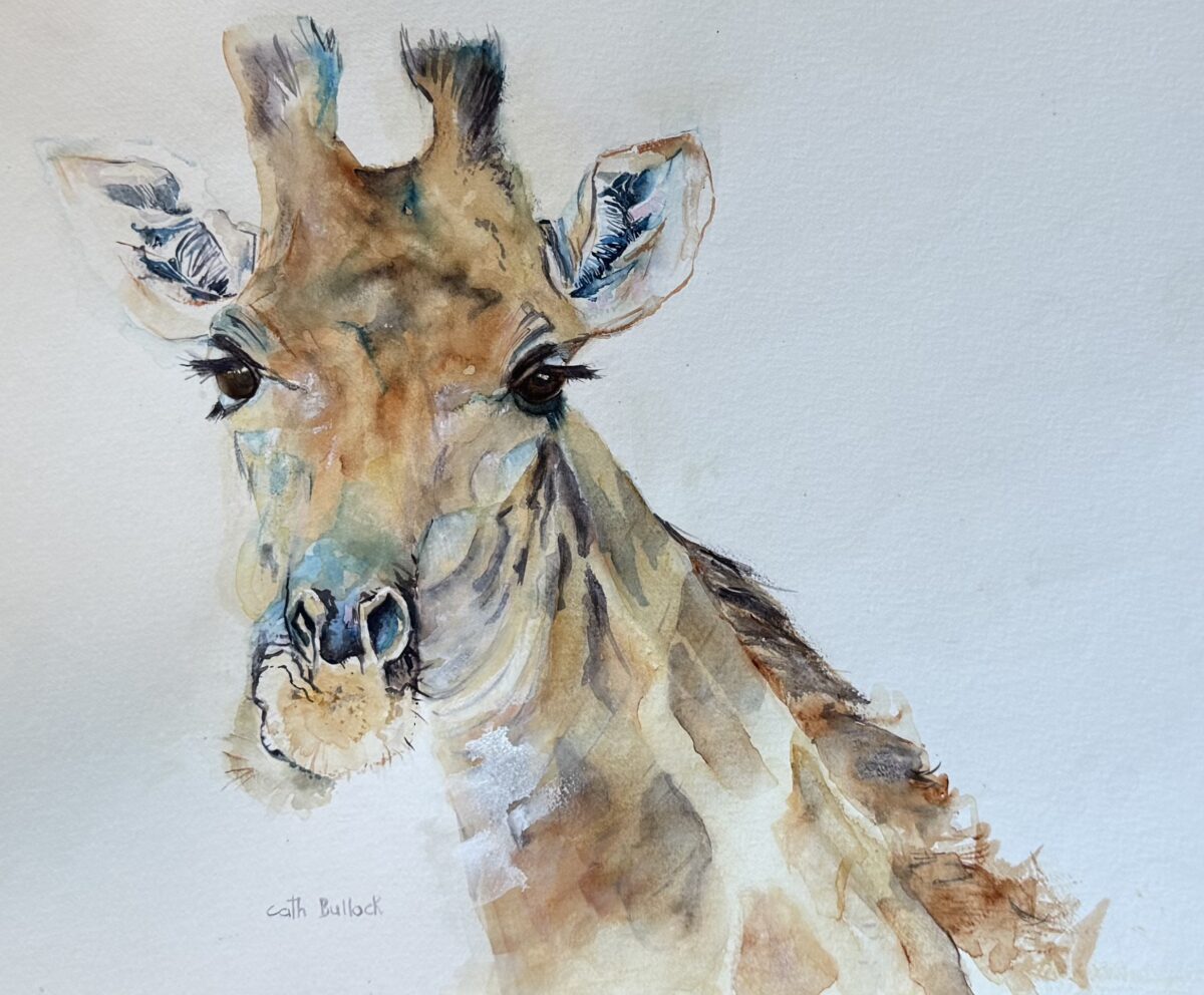 You Say? – Watercolor Art Southern Africa