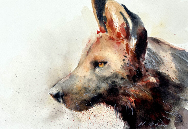 Lycaon Pictus – Watercolor Art Southern Africa