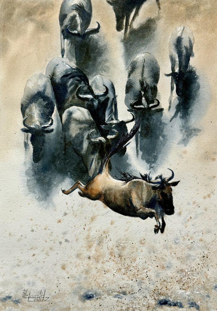 Leap of Faith – Watercolor Art Southern Africa